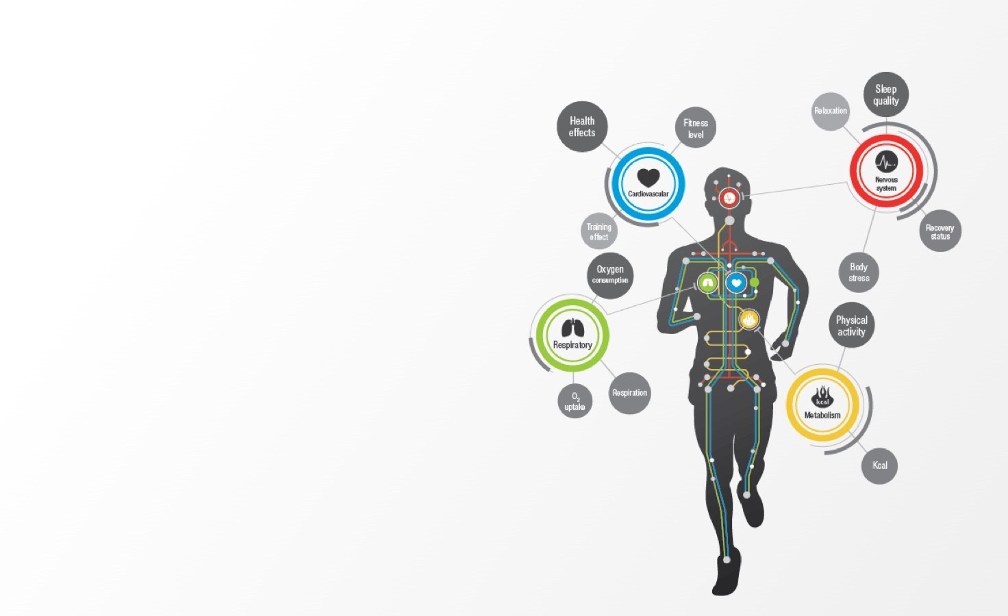 Katsaus kuluneeseen vuoteen - Firstbeat