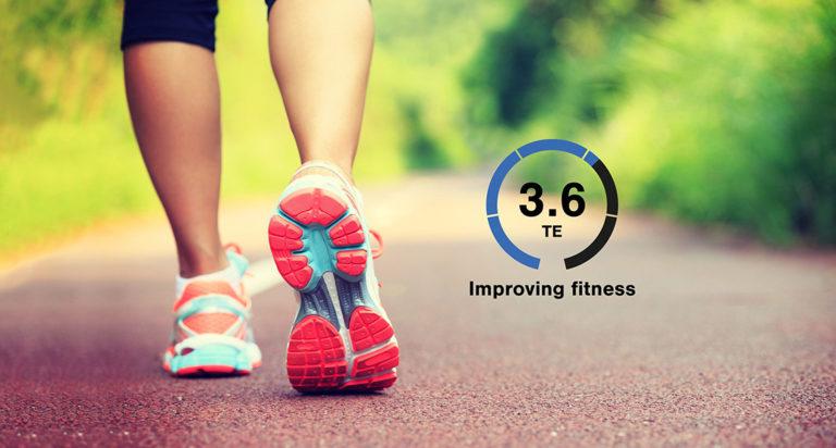 How to Peak at the Right Time? Training Status Helps You to Get into ...