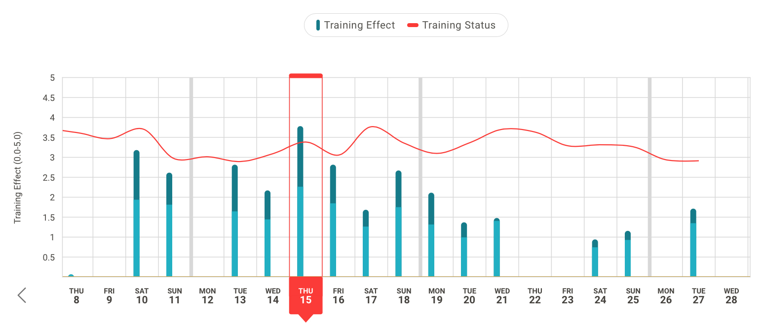 Training Status: the Balance of Training for an Individual Athlete