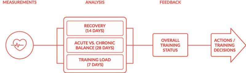 Training Status: the Balance of Training for an Individual Athlete