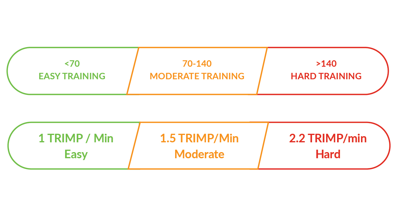 Interpreting Training Data - Firstbeat