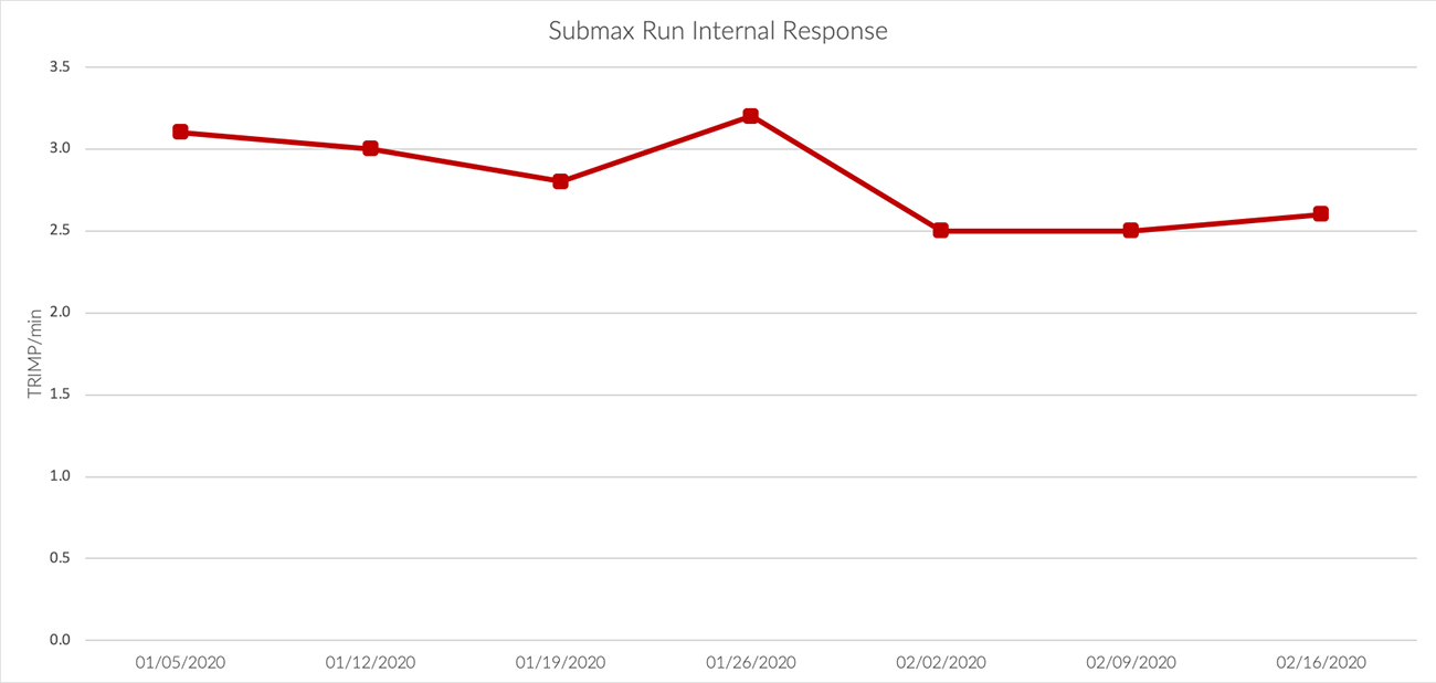 Interpreting Training Data - Firstbeat